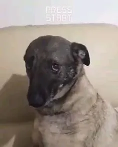 urgir | Techolay Sosyal