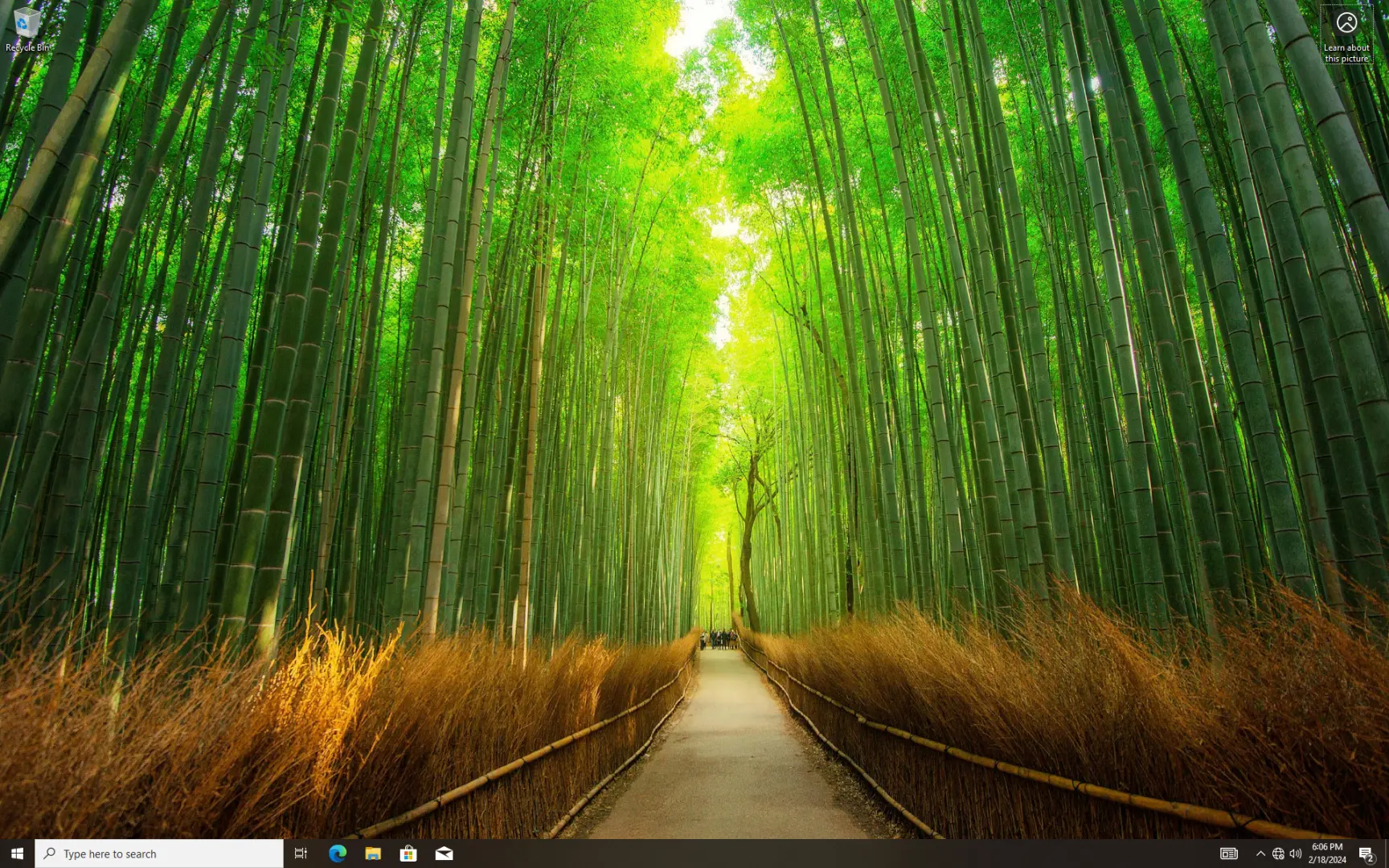 Windows 10 için Windows Spotlight erkenden erişin! | Techolay Sosyal